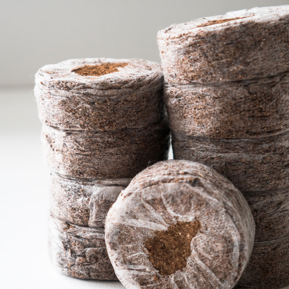 Coir Pellets 4cm | Set of 10 – Gibson & Green